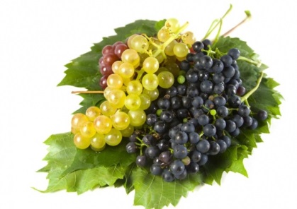 Listă de soiuri de struguri românești